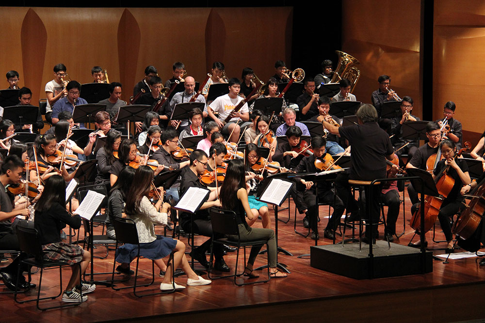 Orchestra Day 2017 | NAFA