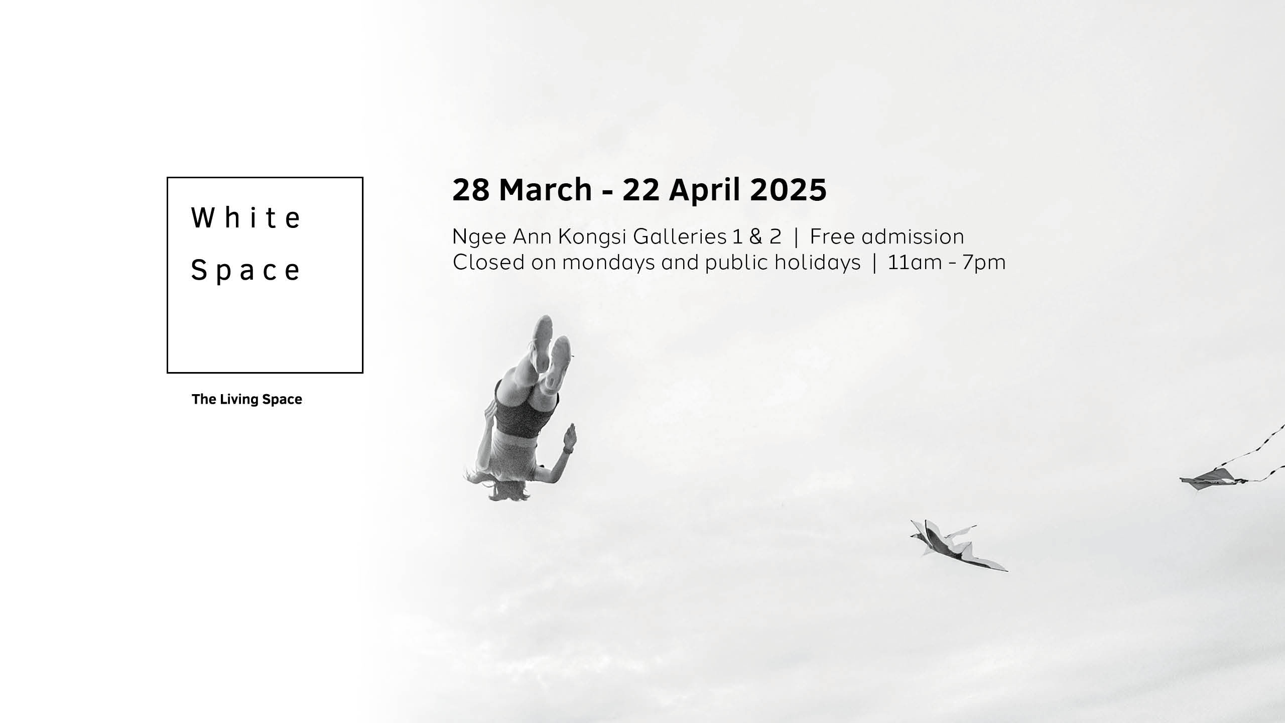 Nanyang Academy of Fine Arts (NAFA)