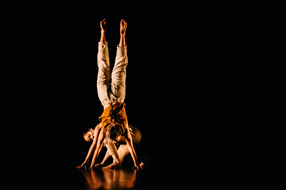 Dancers @ Work | NAFA